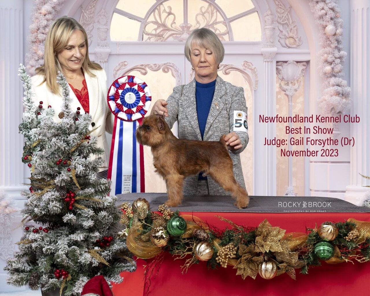 Joval Griffons | Joval kennel - top quality Brussels Griffons